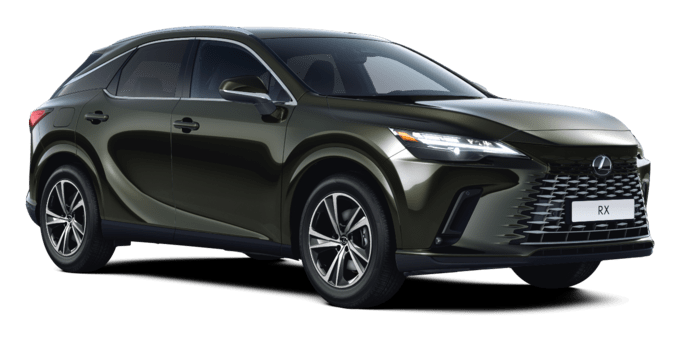 Cool lexus accessories store